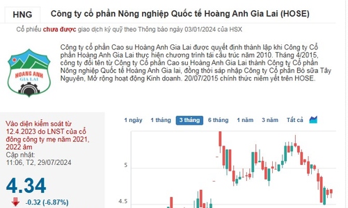 HAGL Agrico nhận ‘thẻ đỏ’, nhiều nhà đầu tư nắm giữ cổ phiếu HNG vội vã ‘thoát hàng’