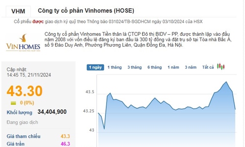 Cổ phiếu VHM giao dịch đứng đầu trong phiên cuối cùng thực hiện thương ...